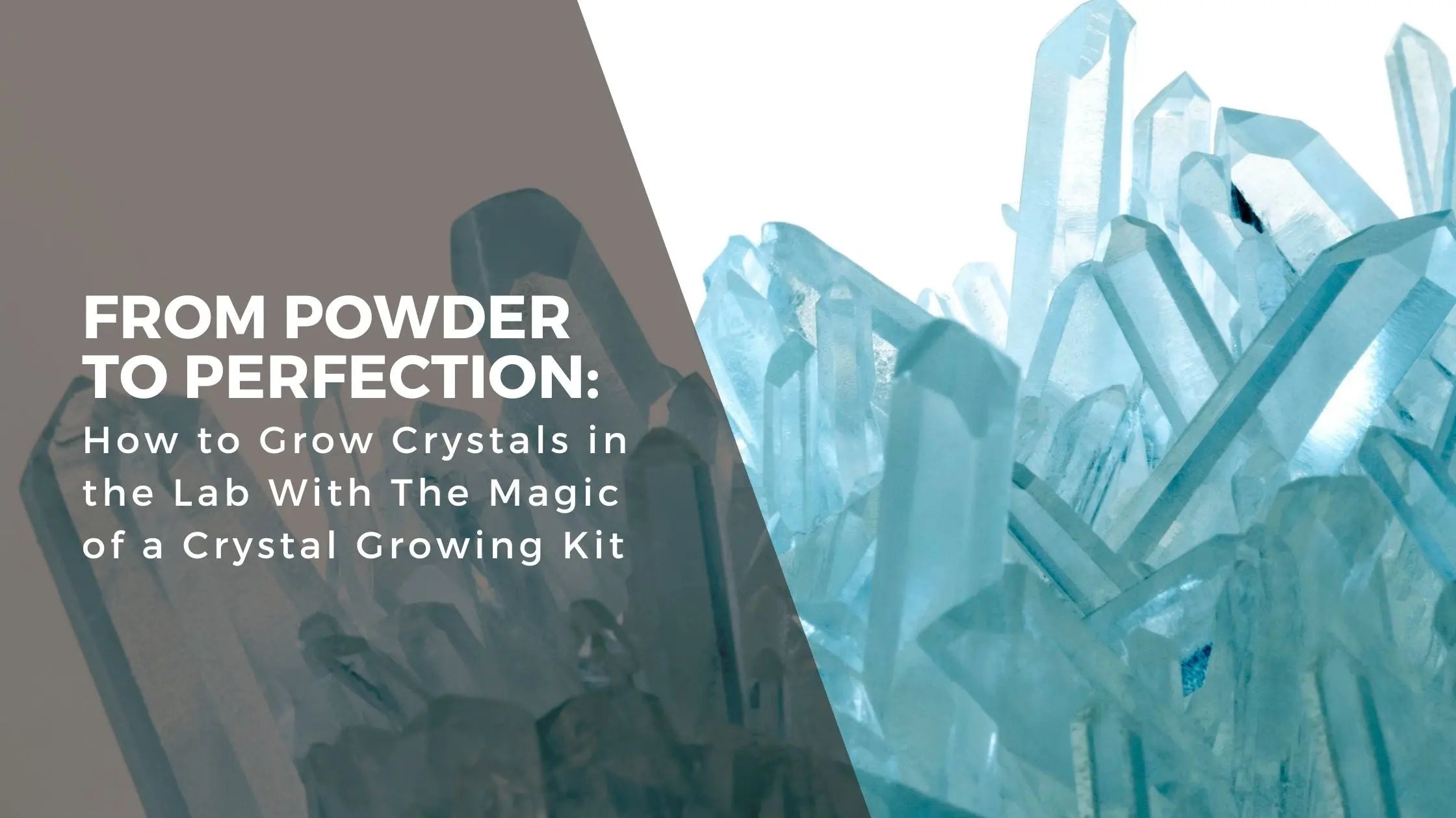 From Powder to Perfection: How to Grow Crystals in the Lab With The ...