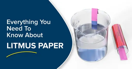 red litmus paper in basic solution