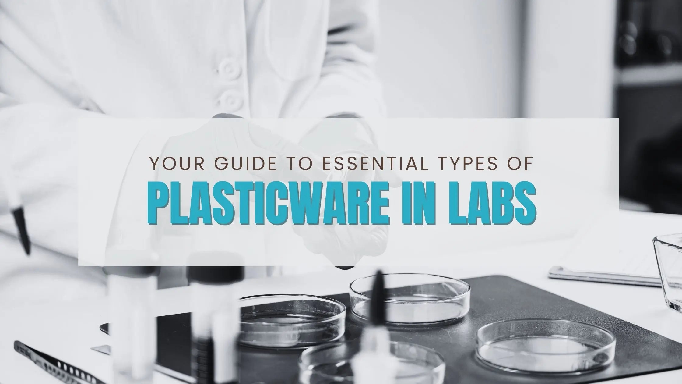 Your Guide to Essential Types of Plasticware in Labs - Science Equip ...