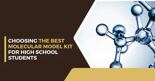 Finding the Best Molecular Model Kits – Science Equip