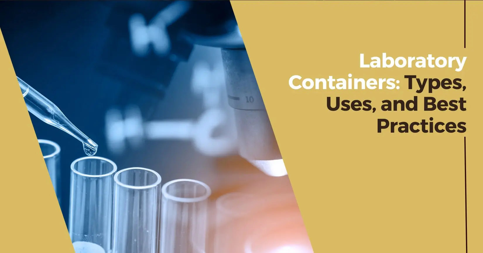 Essential Laboratory Containers: Guide for Scientists & Researchers – Science Equip