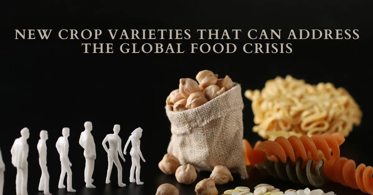 New Crop Varieties That Can Address The Global Food Crisis - Science ...