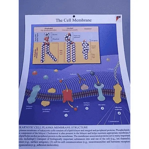 Biology Charts | Lab Consumables | Science Equip – Science Equip