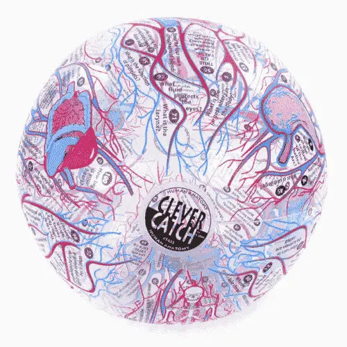 Clever Catch Ball | Science Laboratory Supplies | Science Equip ...