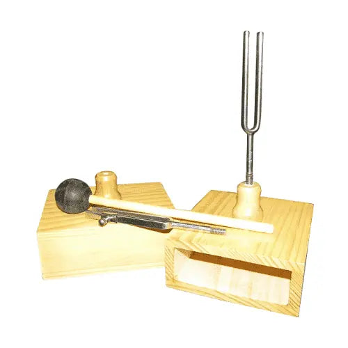 Tuning Forks Set | Lab | Equipment | Consumables | AU | Science Equip ...