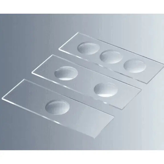 Concave Cavity Slides for Your Science Lab | Science Equip – Science Equip